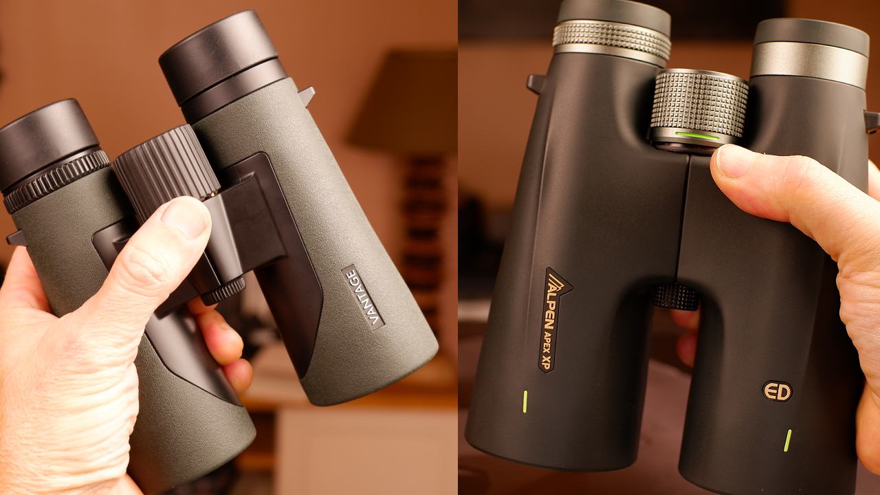 8x42 vs 8x56 Binoculars | Best Binocular Reviews