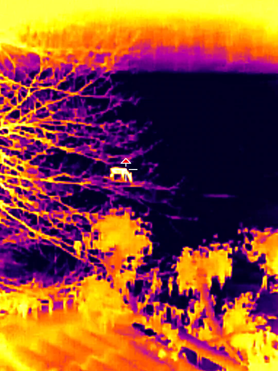 Guide to Thermal Imaging Technical Terms | Best Binocular Reviews