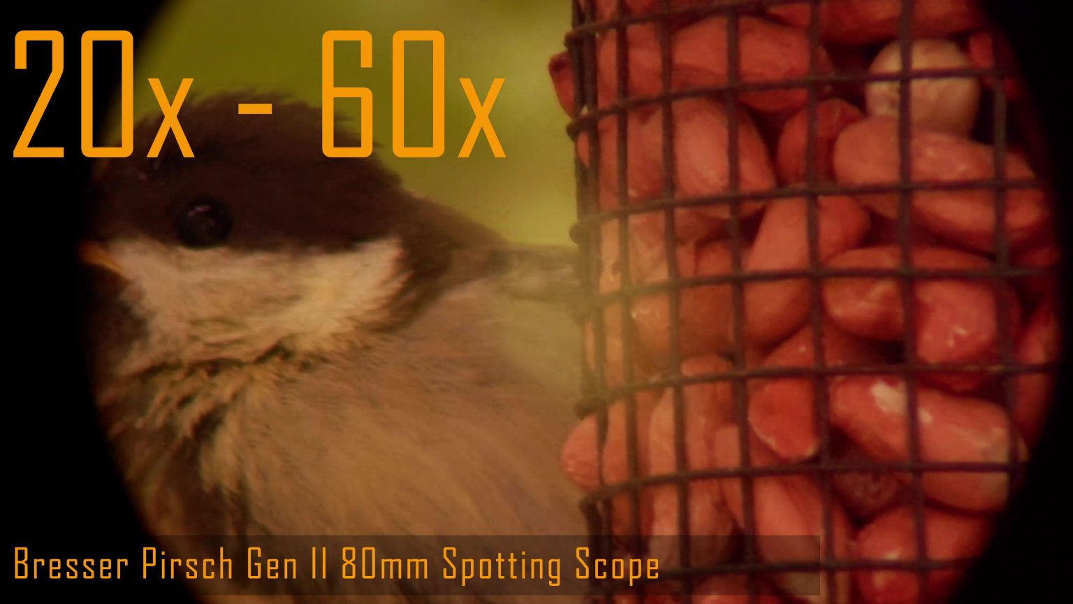 Scopes & Binoculars Zoom Test - 4x, 6x, 7x, 8x, 9x, 10x, 16x, 20x, 30x ...