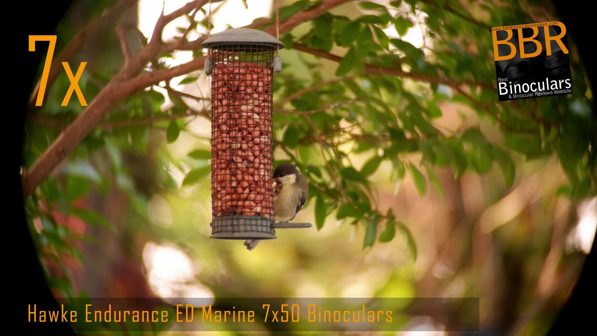 Scopes & Binoculars Zoom Test - 4x, 6x, 7x, 8x, 9x, 10x, 16x, 20x, 30x ...