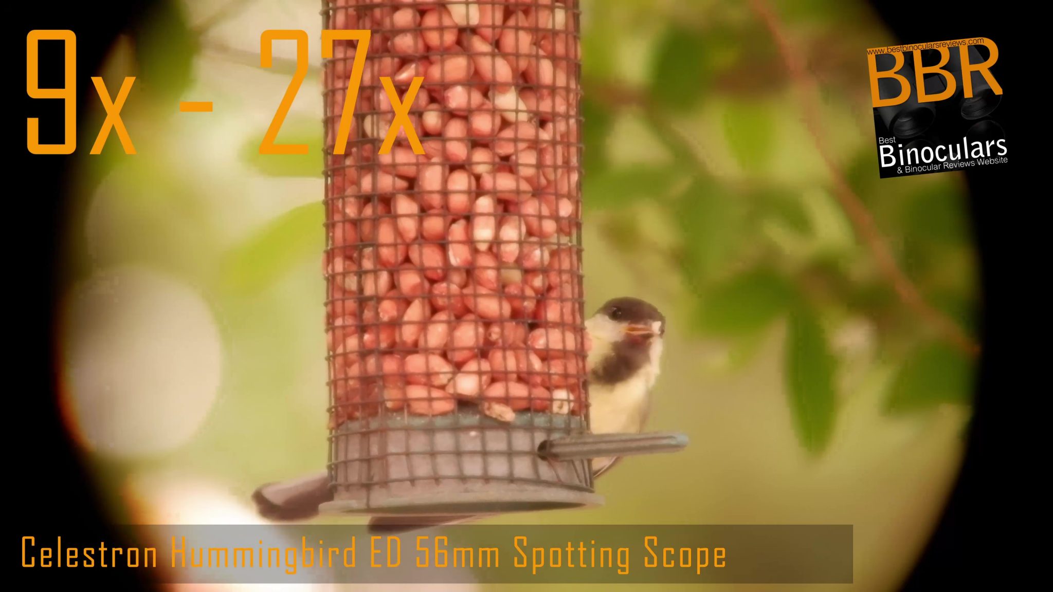 Scopes & Binoculars Zoom Test - 4x, 6x, 7x, 8x, 9x, 10x, 16x, 20x, 30x ...