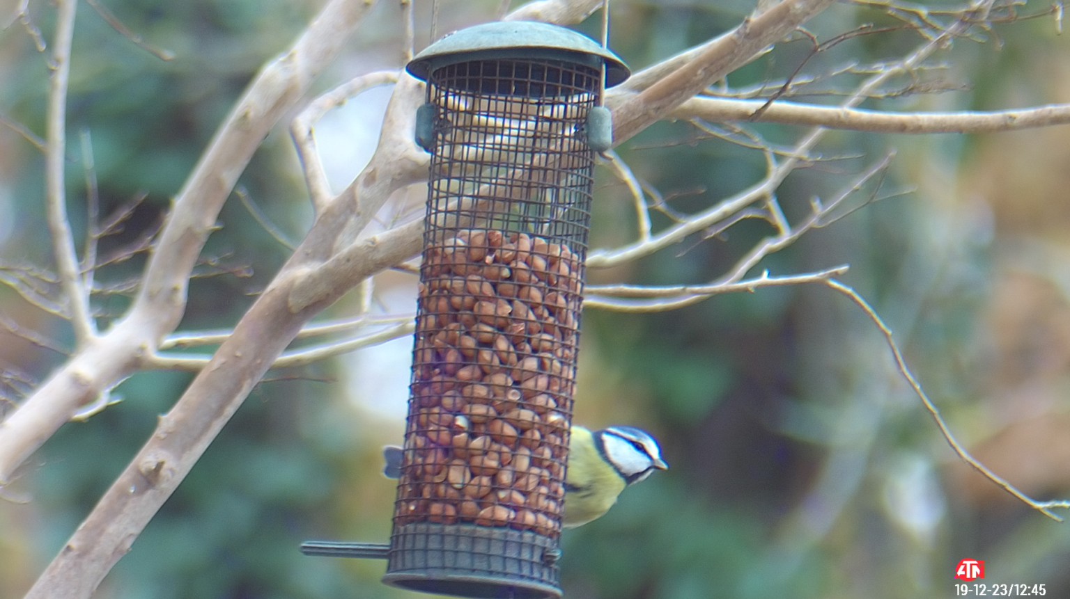 Thermal Imaging vs. Night Vision: An In-depth Comparison | Best ...