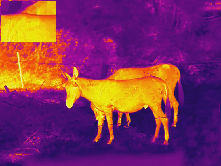 Guide to Thermal Imaging Technical Terms | Best Binocular Reviews