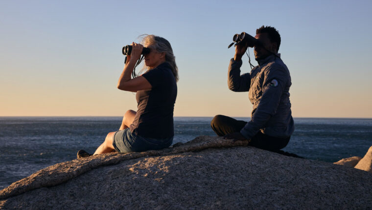 Big Changes in Outdoor Sports Optics: palero to Acquire ZEISS Hunting ...